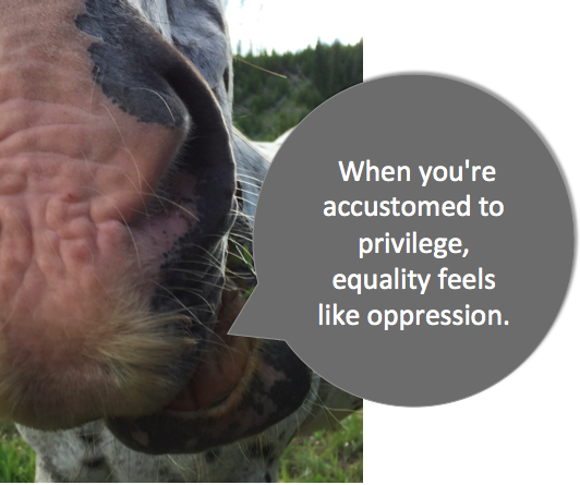 When you're accustomed to privilege equality feels like oppression.